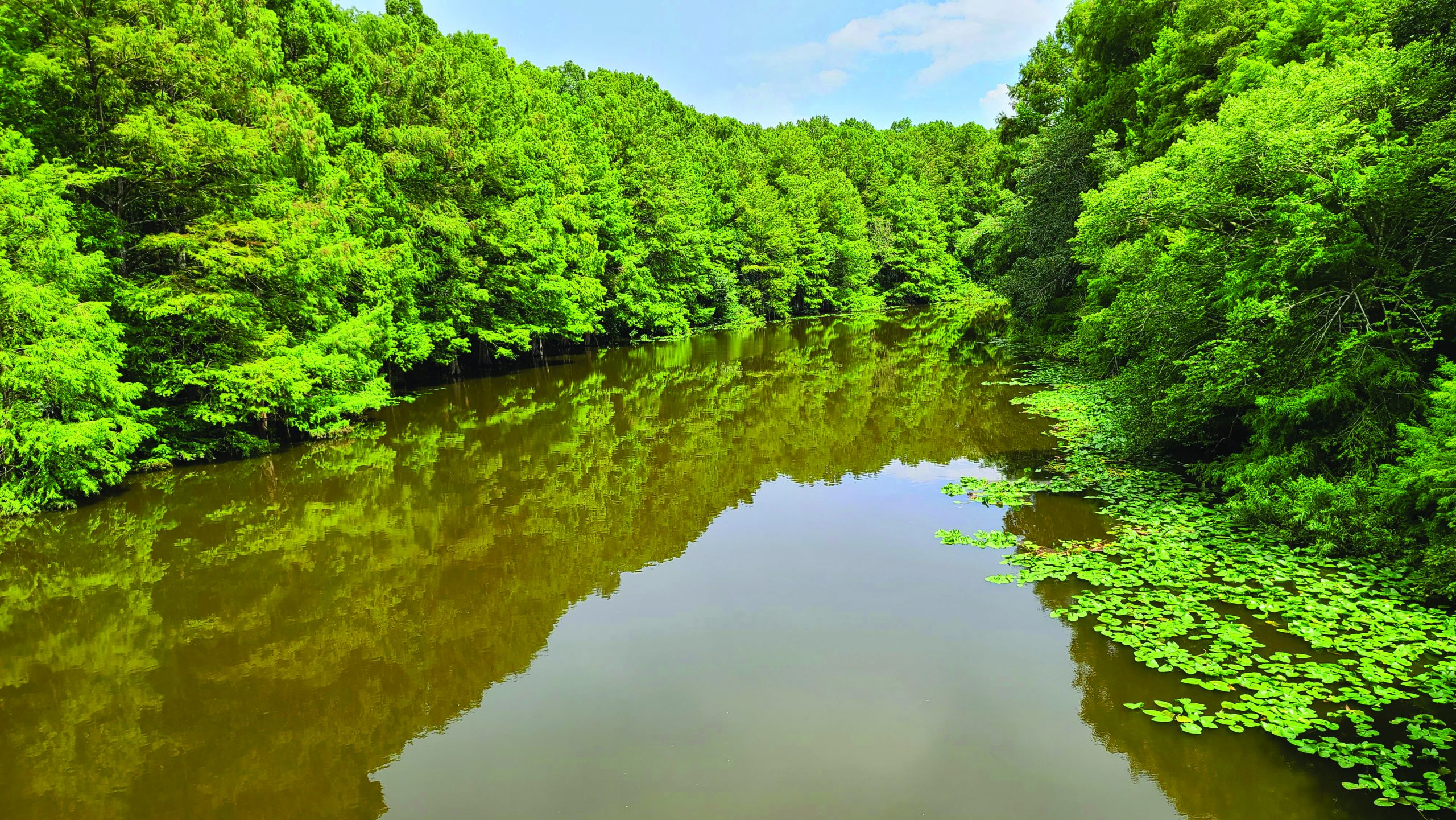 Endangered designation could reignite old debate about the future of ...