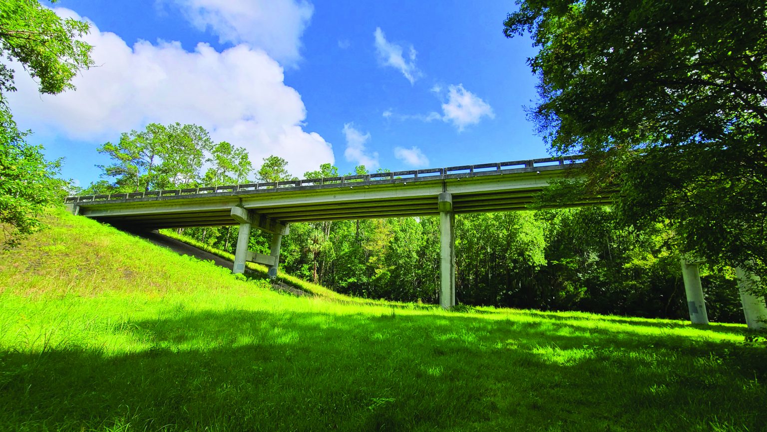 After almost 50 years, state decides that above the Ocklawaha River ...