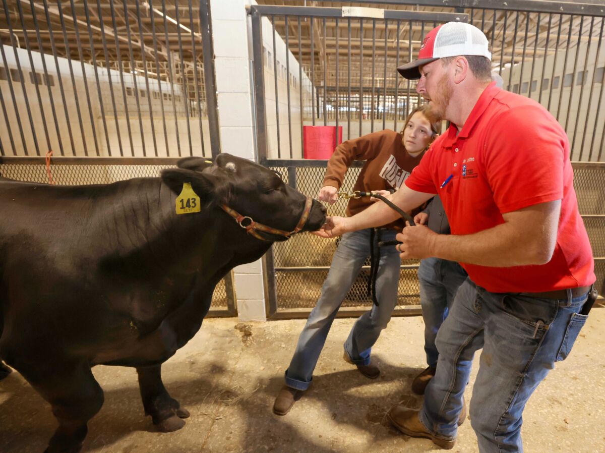 84th annual Southeastern Youth Fair | Ocala Gazette