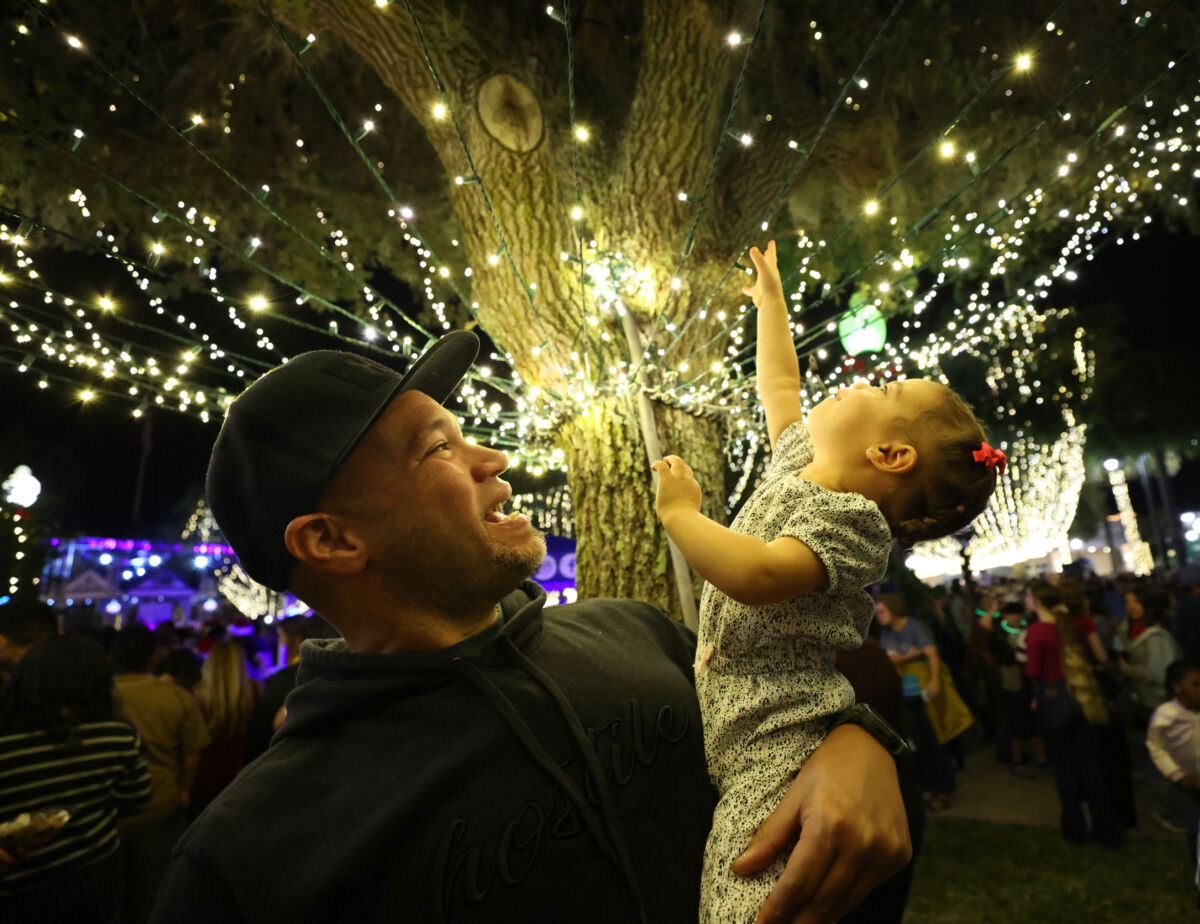 Light Up Ocala returns for 40th year | Ocala Gazette