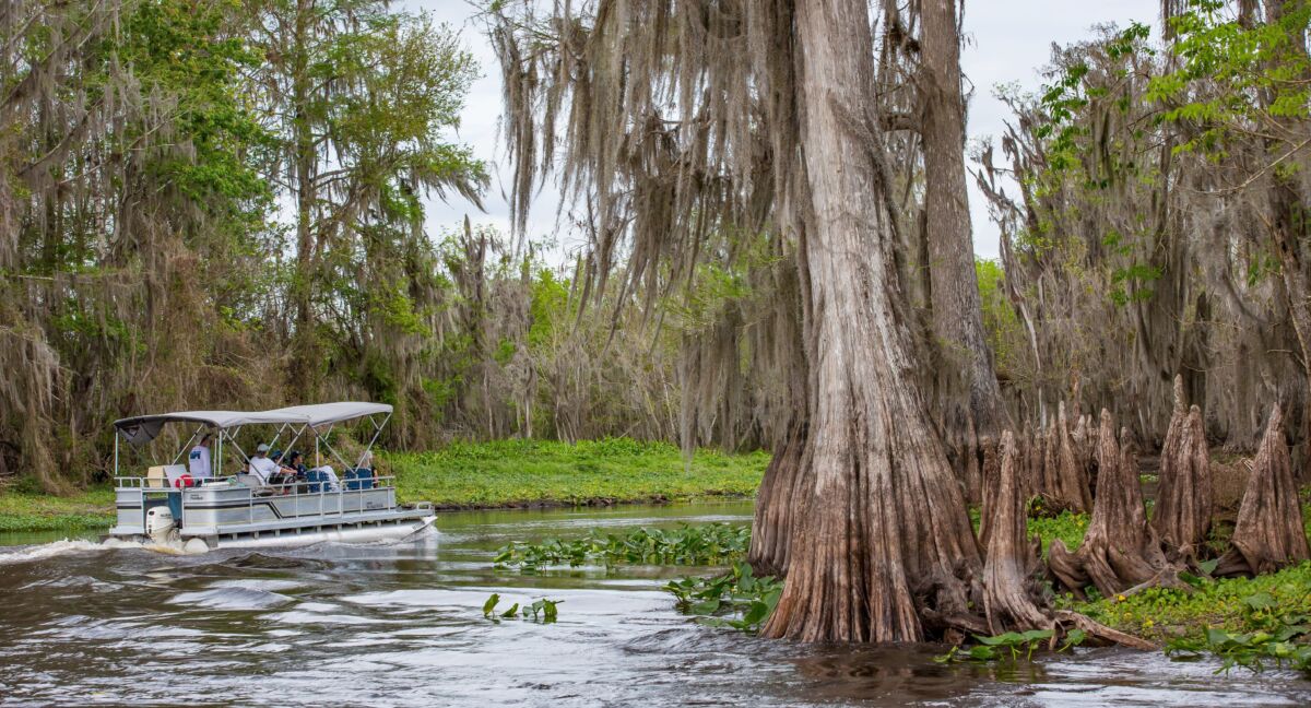OPINION: The time is now for Ocklawaha River restoration | Ocala Gazette