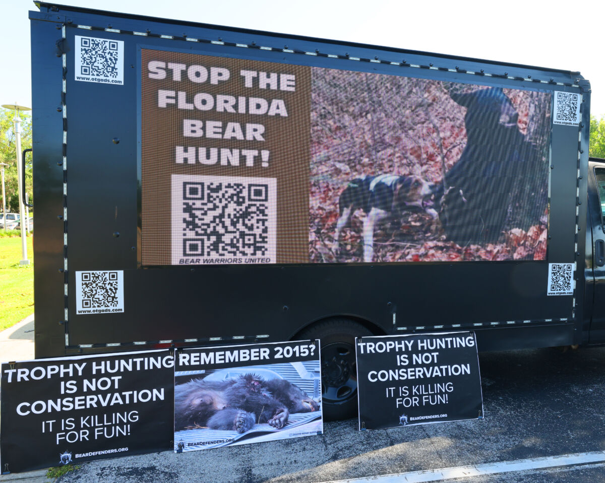 State seeks to scuttle bear hunt lawsuit | Ocala Gazette