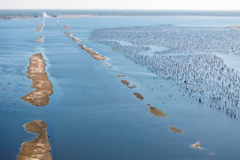 Ocklawaha River drawdown is a major attraction | Ocala Gazette