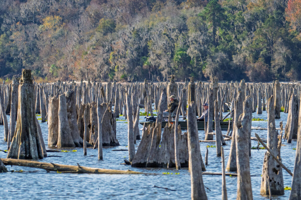 Ocklawaha River drawdown is a major attraction | Ocala Gazette
