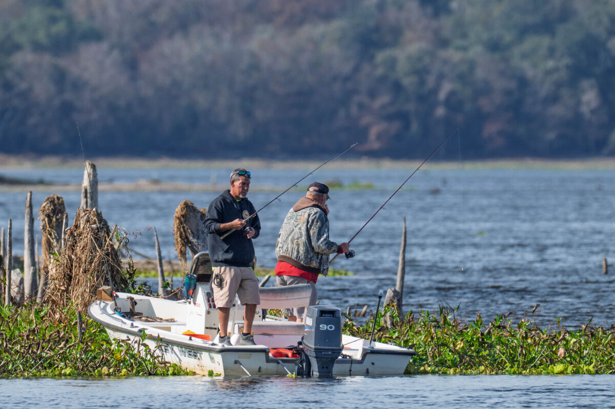 Ocklawaha River drawdown is a major attraction | Ocala Gazette