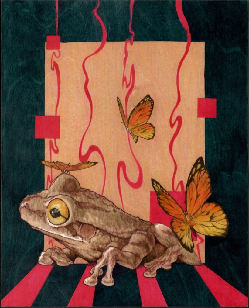 ‘A sense of beauty in nature’ | Ocala Gazette